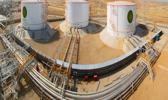 Key experience – PETRO GAS Company
